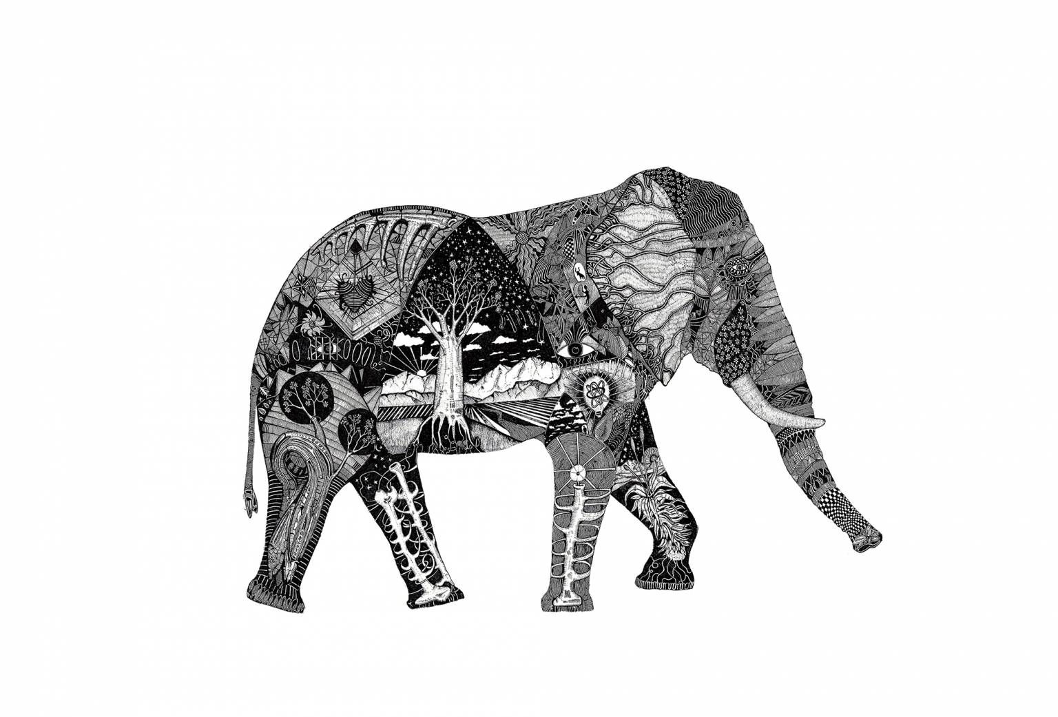 Elephant Framed The Artists Gallery Elephant Framed The Artists Gallery