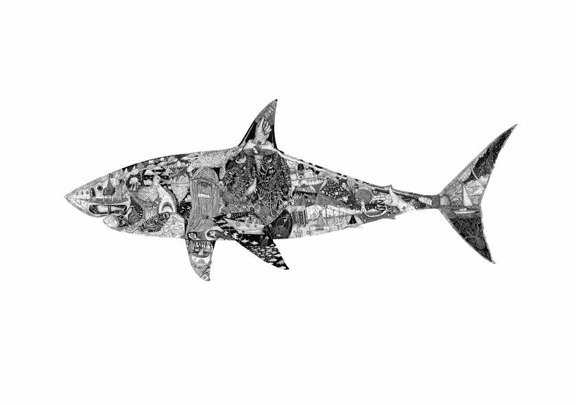 Christo du Toit - The Artists Gallery